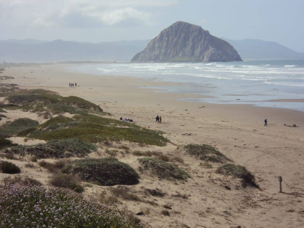 Morro Strand State Beach | Beach Travel Destinations
