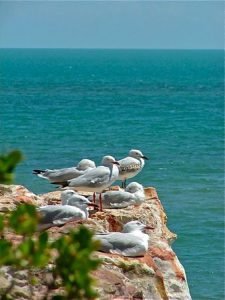 Beaches of Darwin: Sunsets, Sand, and Top End Coastal Beauty