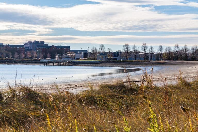 Carson Beach South Boston | Beach Travel Destinations