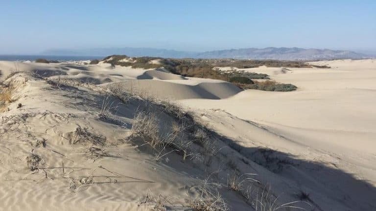 The Best of Oceano CA