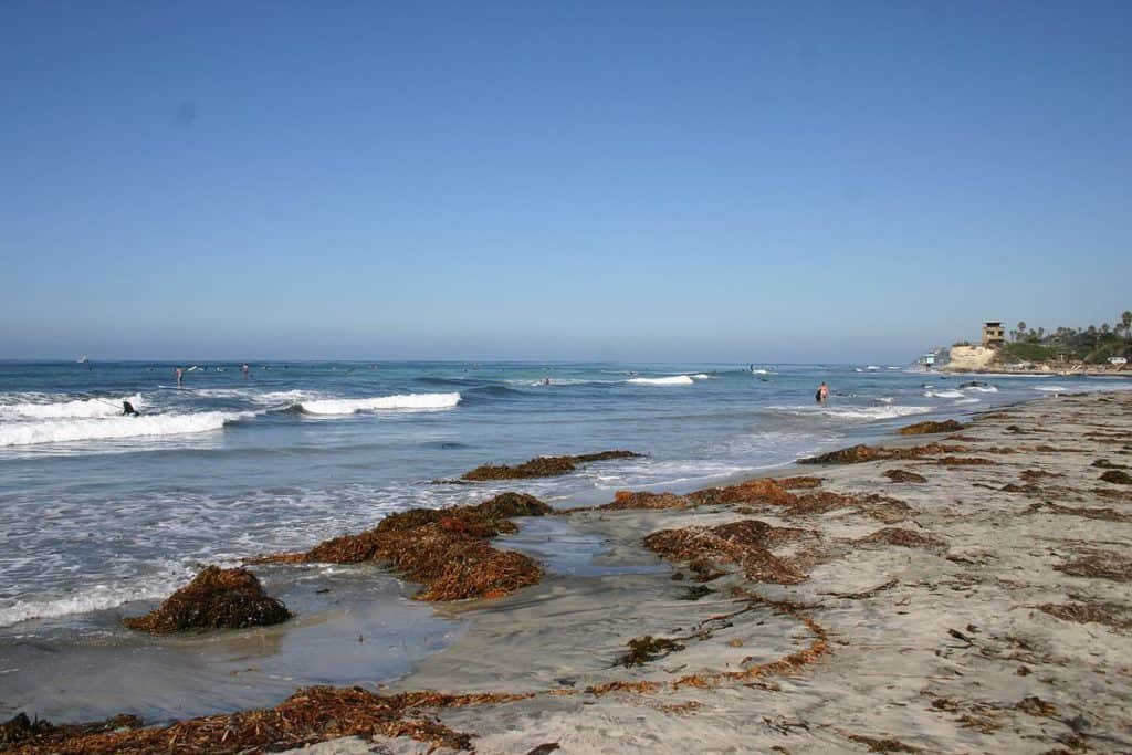 Cardiff State Beach | Beach Travel Destinations