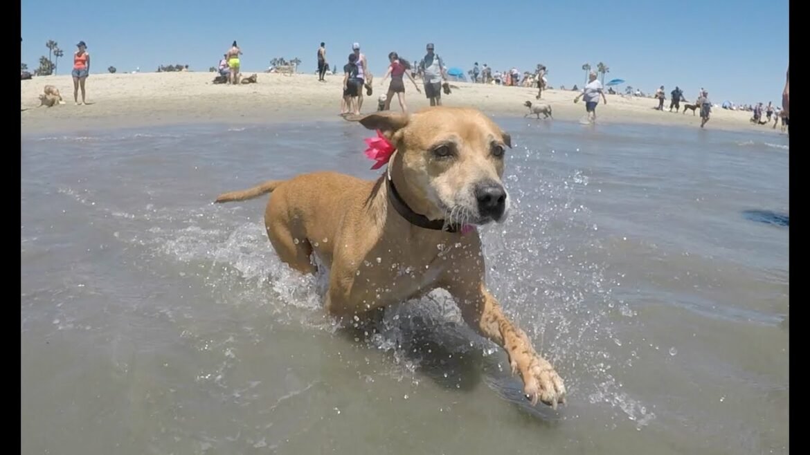 Long Beach Visitors Guide - Beach Travel Destinations