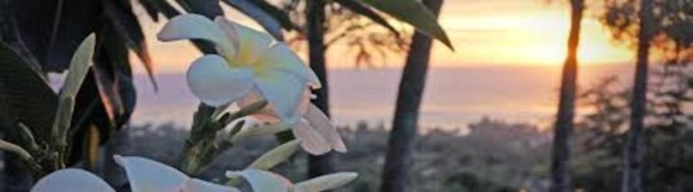Cook Islands - The Most Beautiful Beaches to Discover