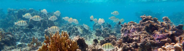 Cook Islands - The Most Beautiful Beaches to Discover